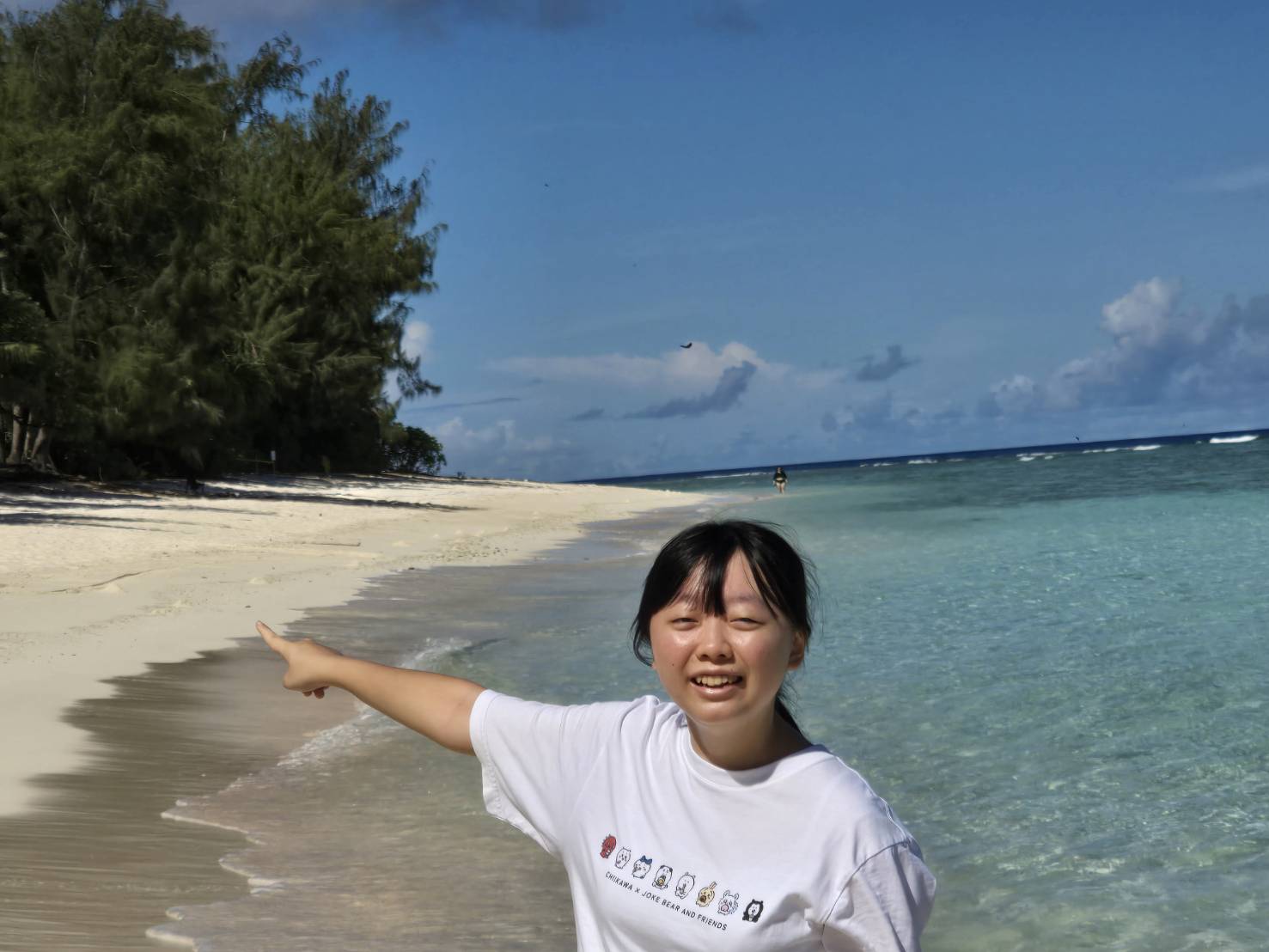 Amy Lin - Designer & Developer